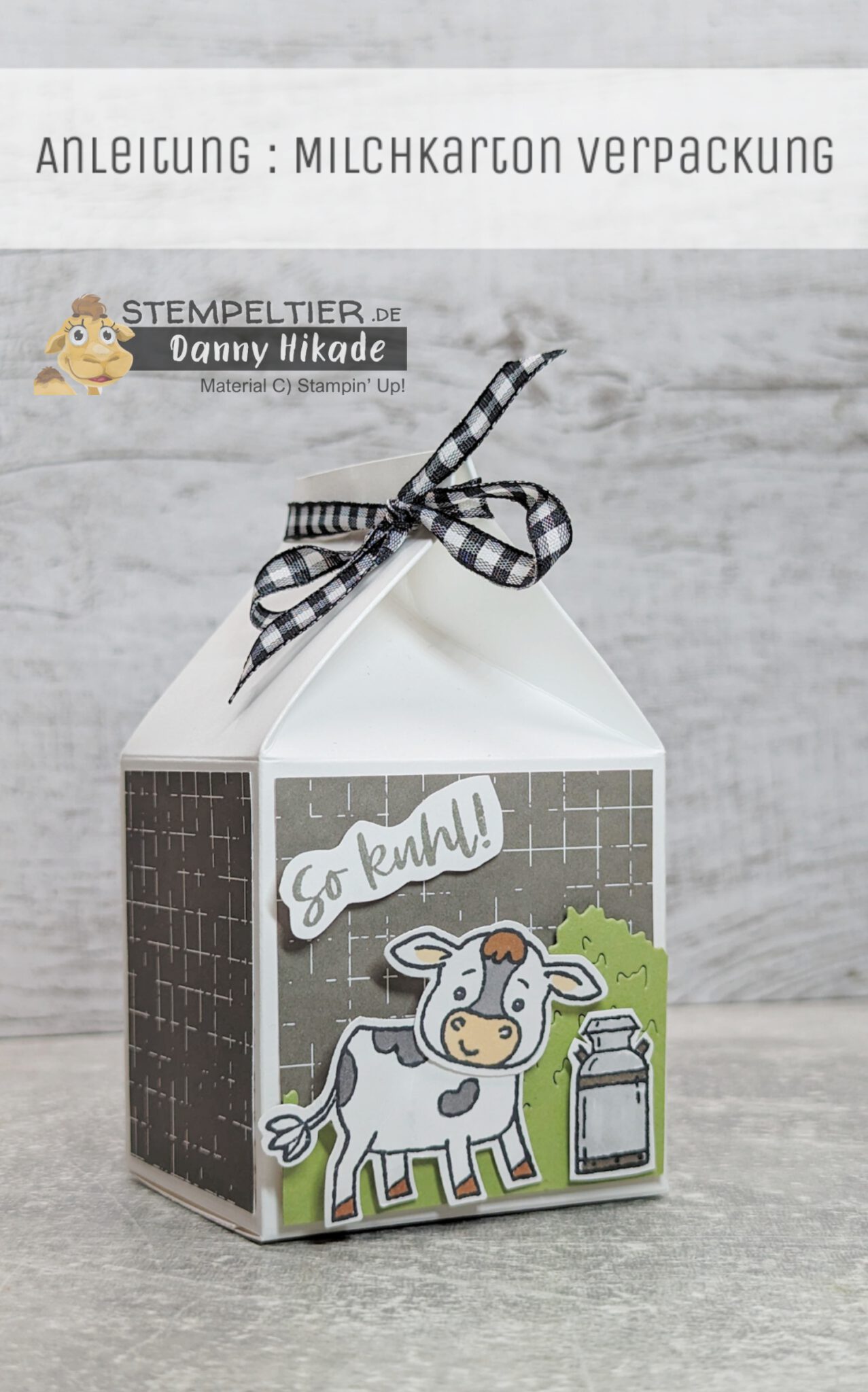 Anleitung Milchkarton Verpackung | so kuhl Kühe - Stempeltier